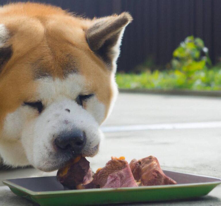 What Do Akitas Eat (12 Akita's Favorite Foods)