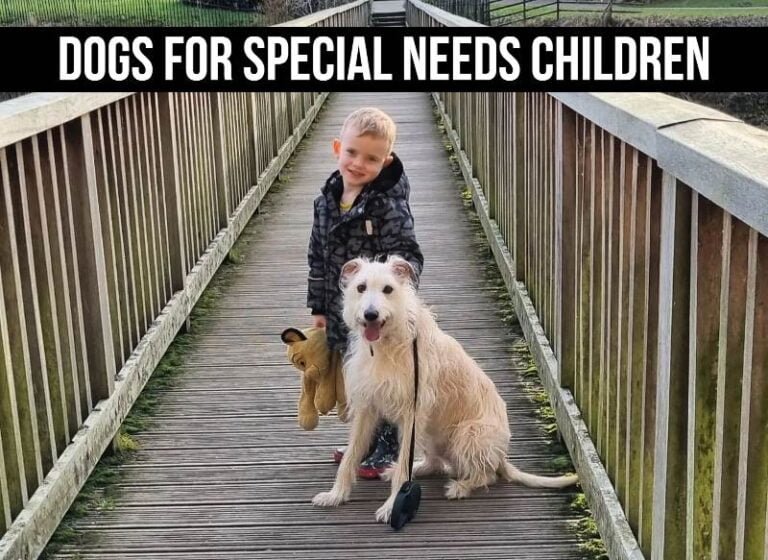 Dogs For Special Needs Children (Recommended by Behaviorist)