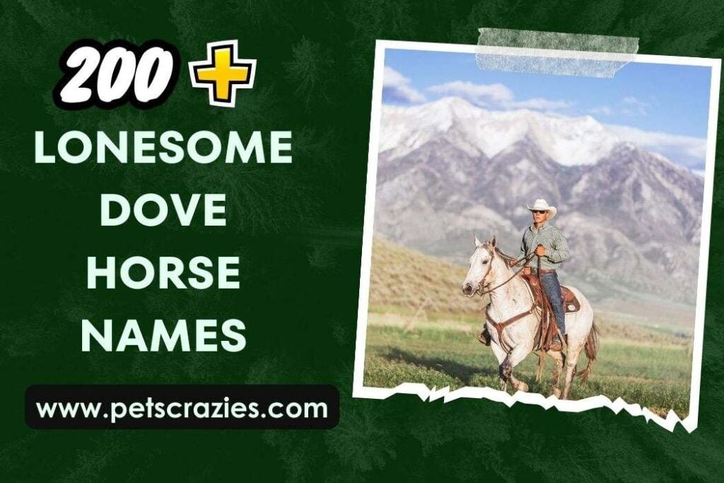 350+ Shire Horse Names (Unleash Your Horse's Personality)
