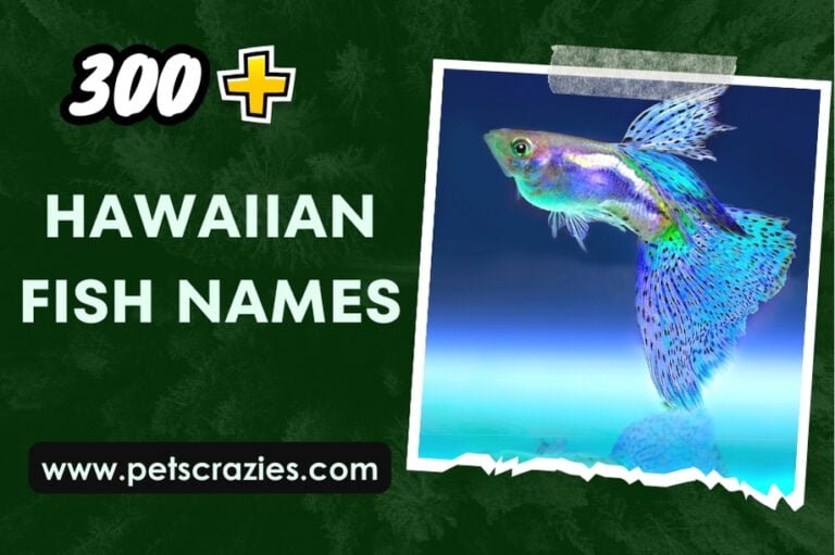 300+Hawaiian Fish Names (Discover the Underwater Legends)