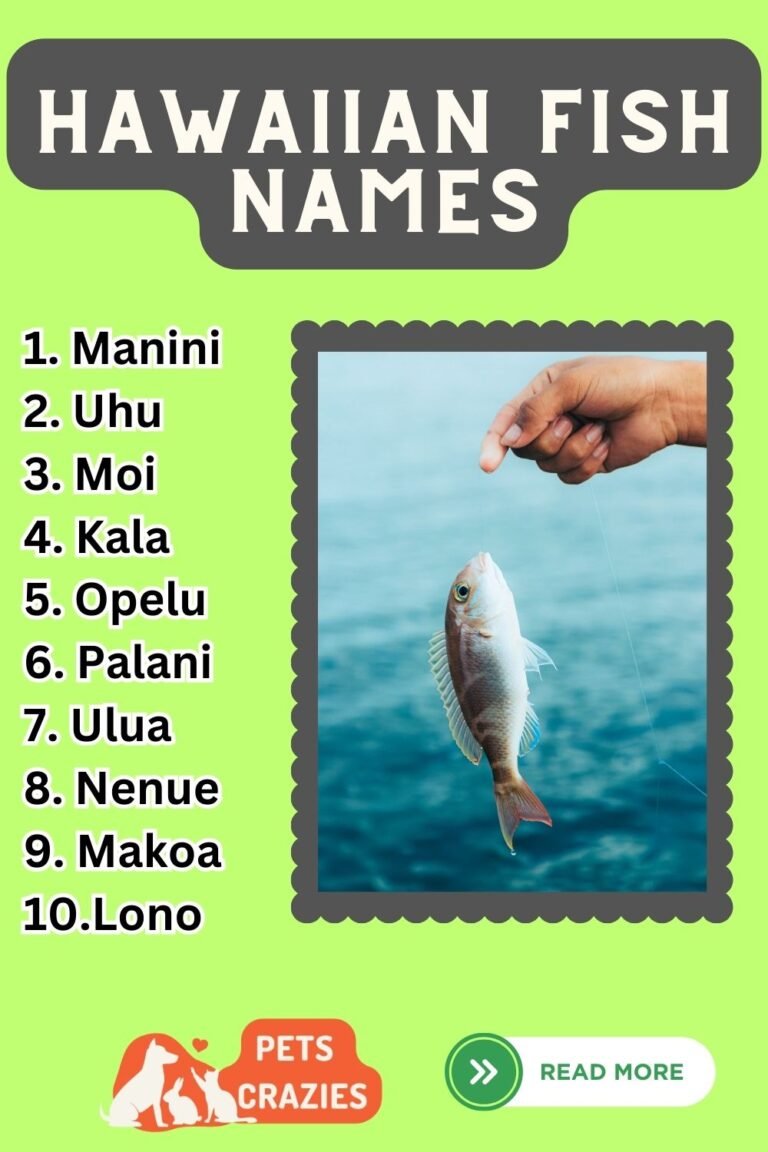 300+Hawaiian Fish Names (Discover the Underwater Legends)