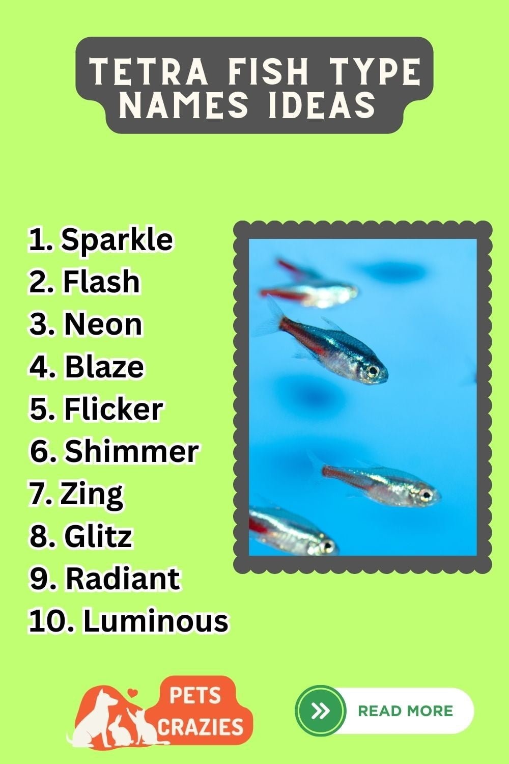 200+ Neon Tetra Fish Names (Unveil Your Fish's Personality)