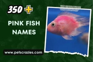 350+ Pink Fish Names (Explore Vibrant Ocean Wonders)