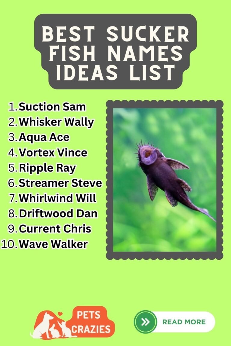 200+ Sucker Fish Names (Ocean’s Expansive Canopy)