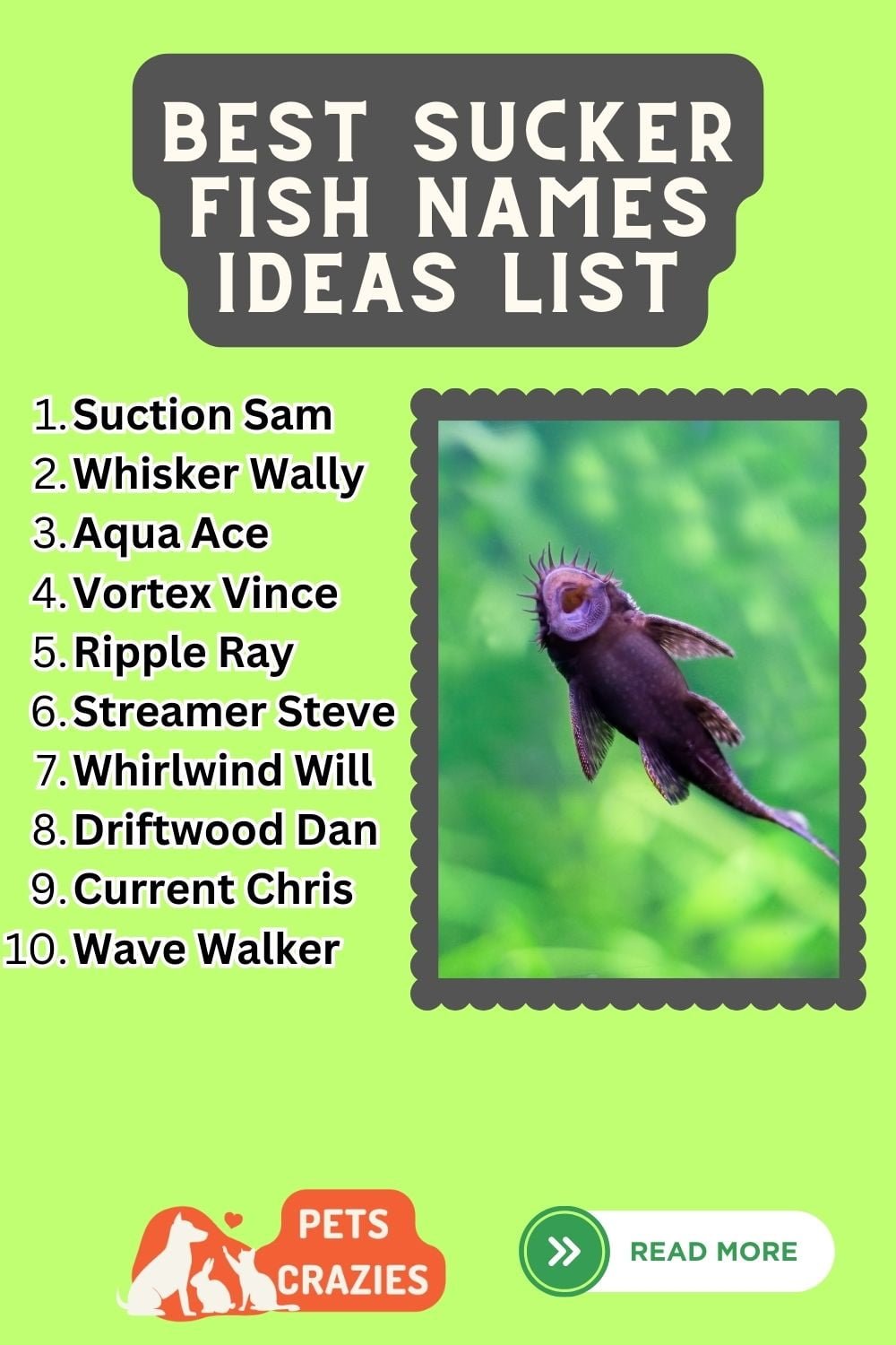 200+ Sucker Fish Names (Ocean’s Expansive Canopy)