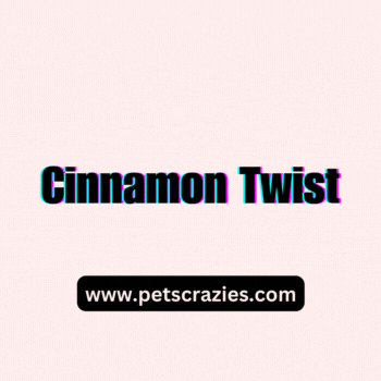 150+ Fish Names that start with C ( Enhance Your Aquarium )