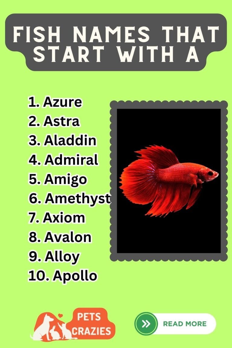 150+ Fish Names That Start With A (Discover Aquatic Wonders)