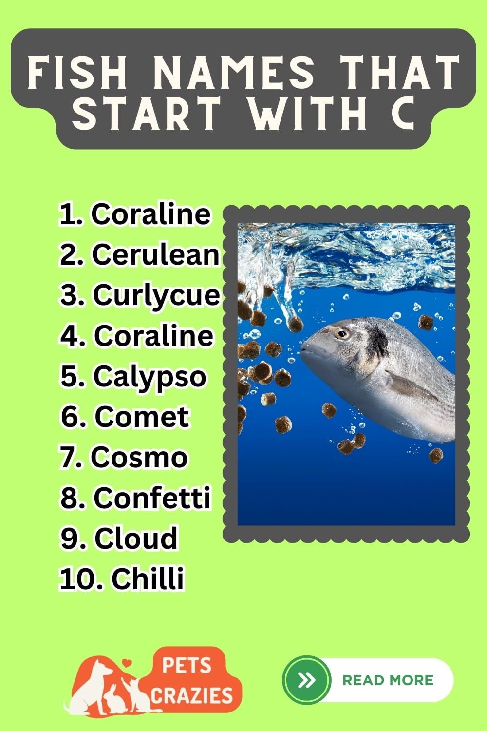 150+ Fish Names that start with C ( Enhance Your Aquarium )