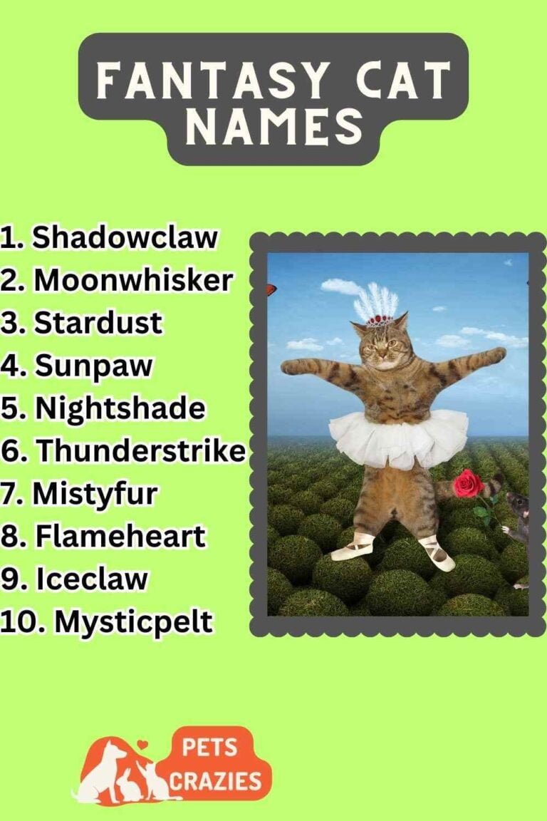 300+ Fantasy Cat Names (Dreamy Monikers)