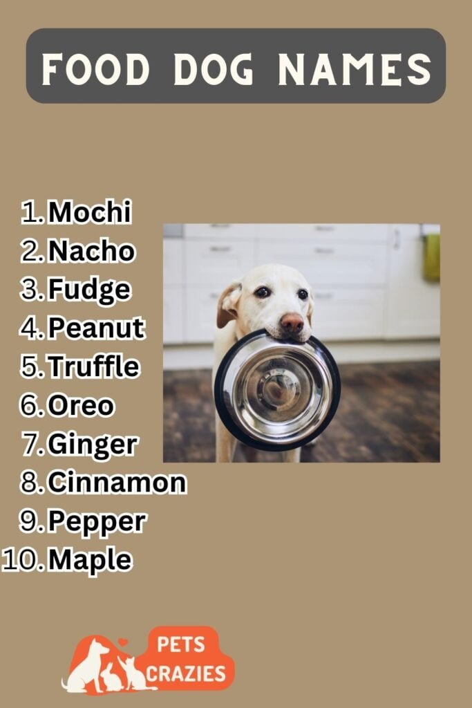 200+ Food Dog Names - Sweet And Savory Ideas