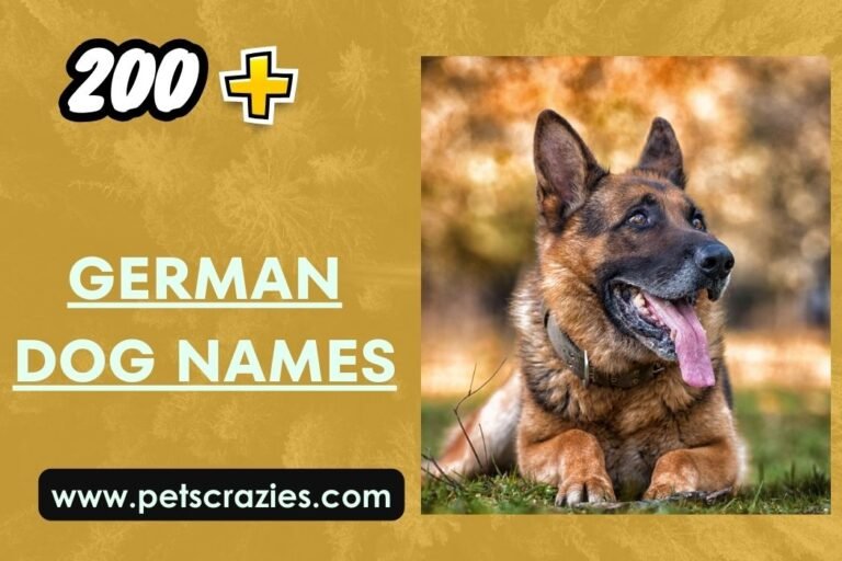 200+ German Dog Names - Unique And Traditional Picks