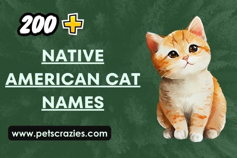 Native American Cat Names - A Connection to Ancestry!