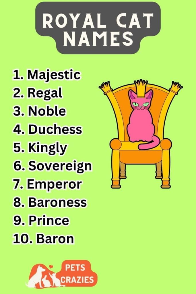 300+ Royal Cat Names (Elite Naming)