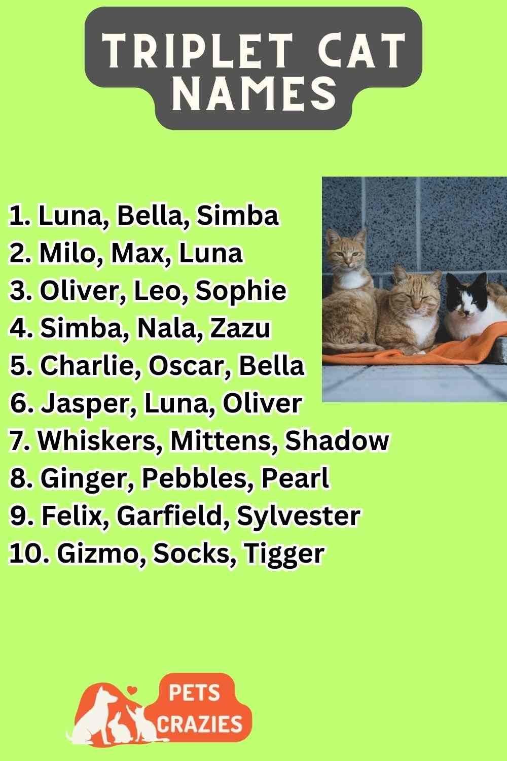 300 Triplet Cat Names Perfect Pairings 