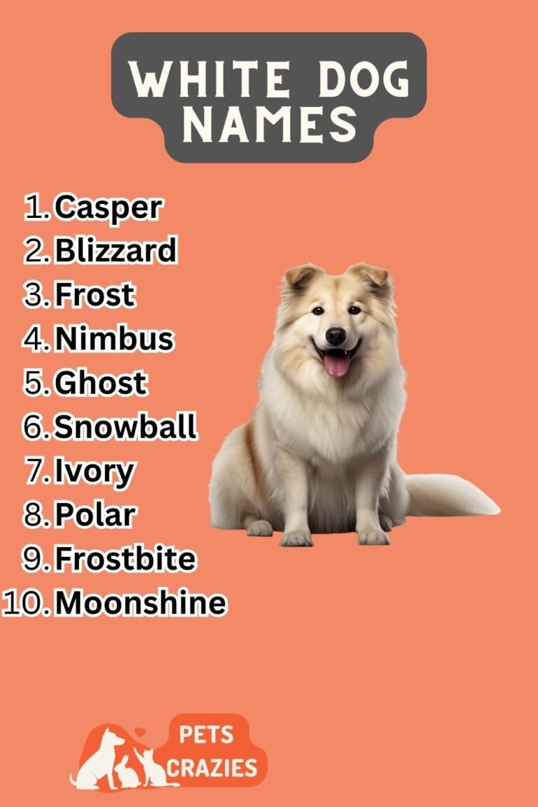 200+ White Dog Names - Loyal And Popular Choices