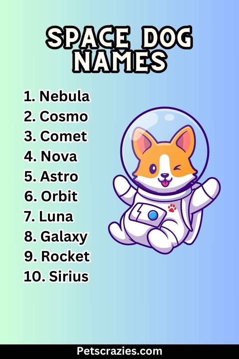 300+ Space Dog Names (Celestial Canine Tags)