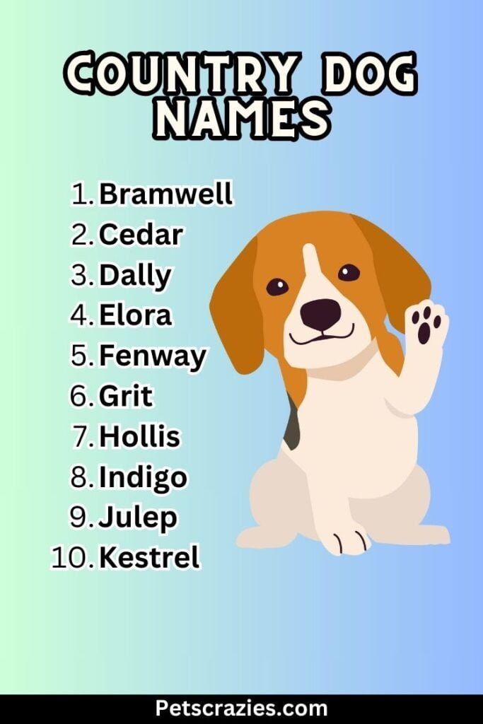 200+ Country Dog Names - Unique And Cute Ideas