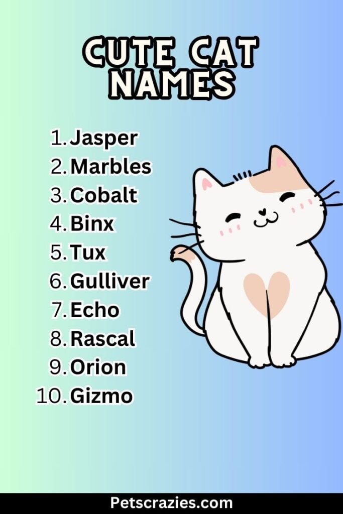 200+ Cute Cat Names - Unique & Sweet Choices
