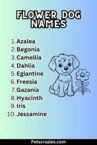 200+ Flower Dog Names - Nature-Loving And Glowing Picks
