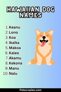 200+ Hawaiian Dog Names - Tropical And Oceanic Picks