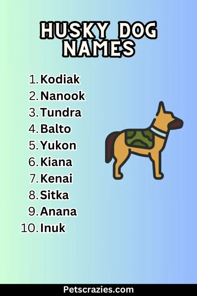200+ Husky Dog Names - Cool And Wild Ideas