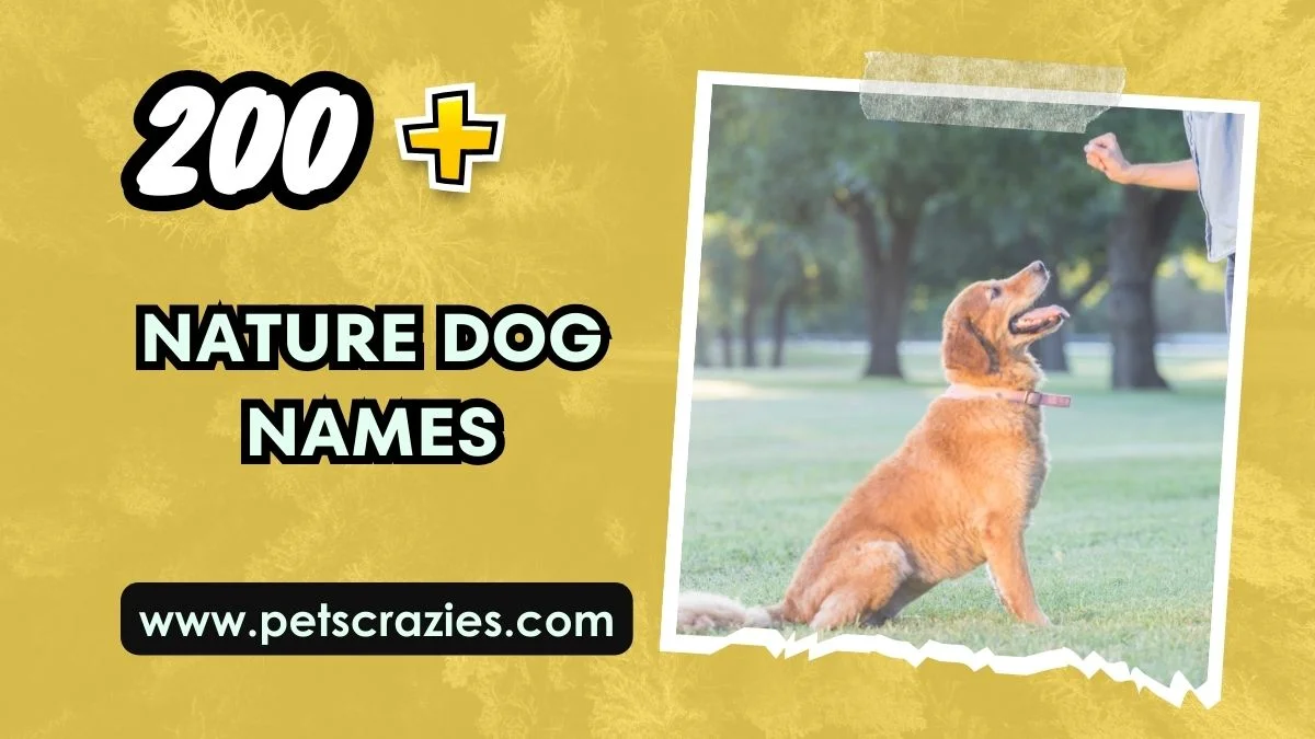 200+ Nature Dog Names - Inspired And Charming Ideas