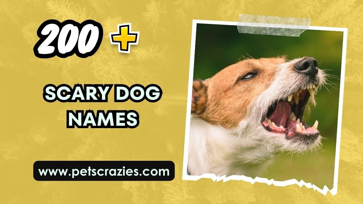 200 Scary Dog Names Haunting And Terrifying Picks