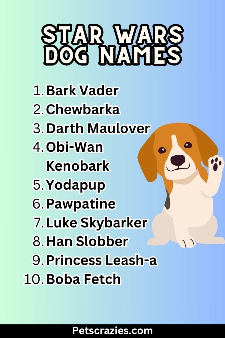 200 Star Wars Dog Names Energetic And Fiery Ideas 200 Star Wars Dog Names Energetic And Fiery Ideas