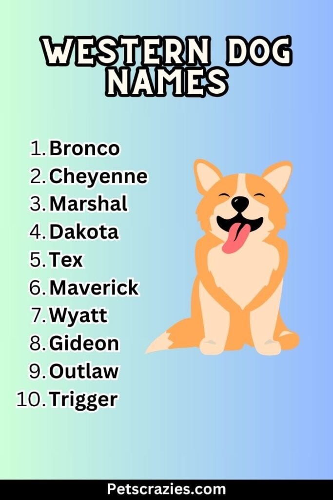 200 Western Dog Names Funny And Cute Ideas 200 Western Dog Names Funny And Cute Ideas
