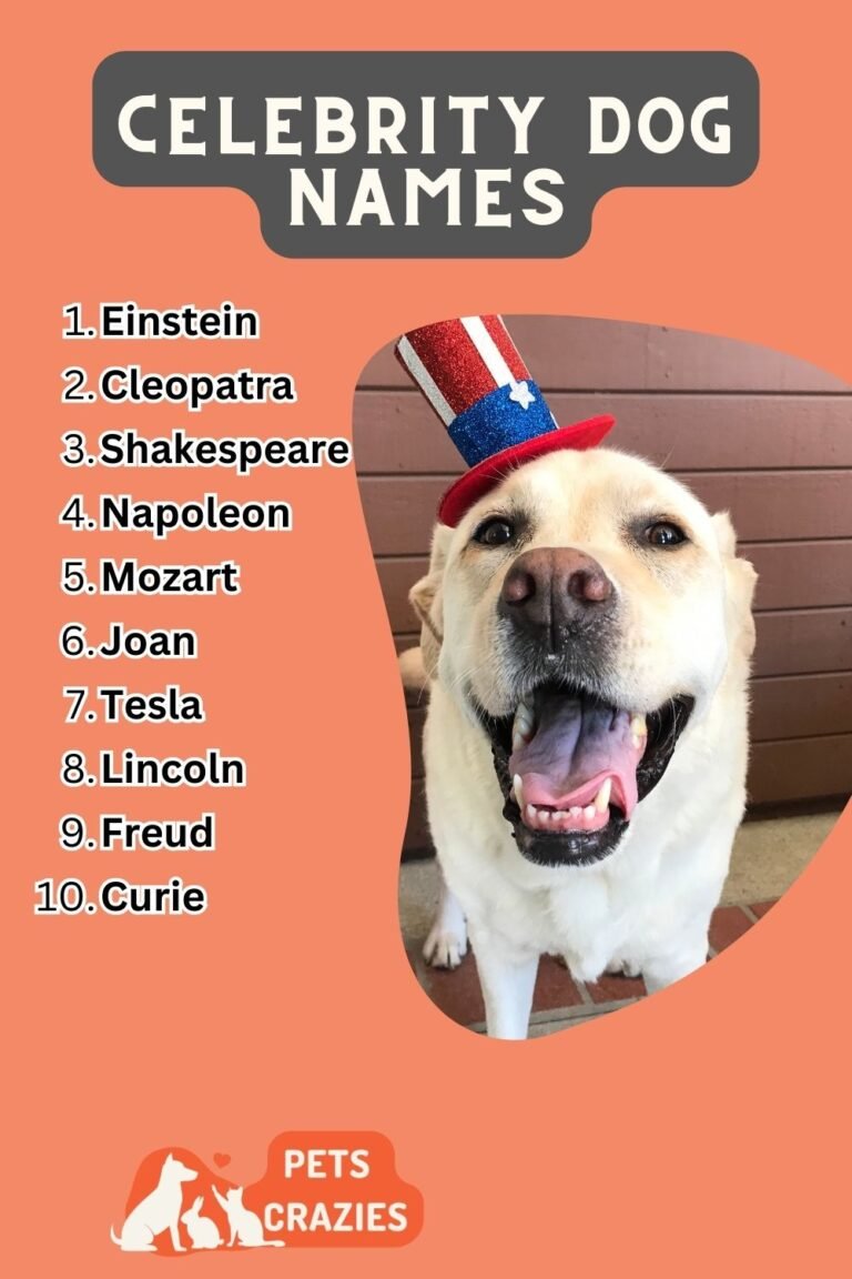 150+ Celebrity Dog Names - Famous And Popular Picks