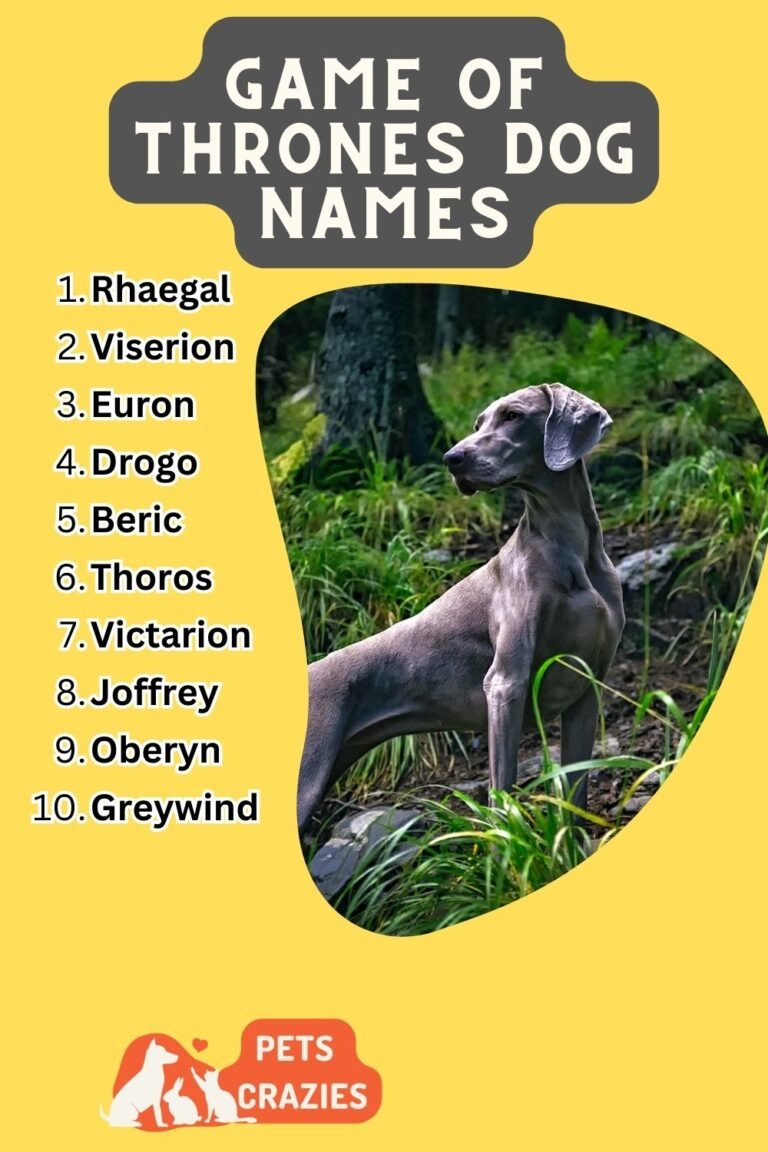 150+ Game Of Thrones Dog Names - Epic And Iconic Picks