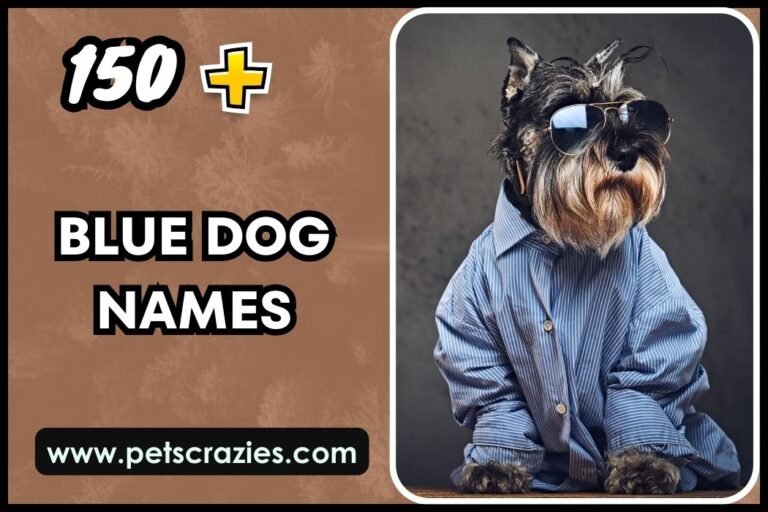 150+ Blue Dog Names (Trendy Choices)