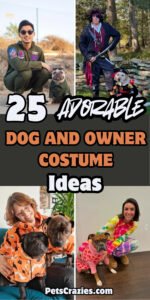 20+ Cozy Dog And Owner Costume Ideas for Halloween 2024!