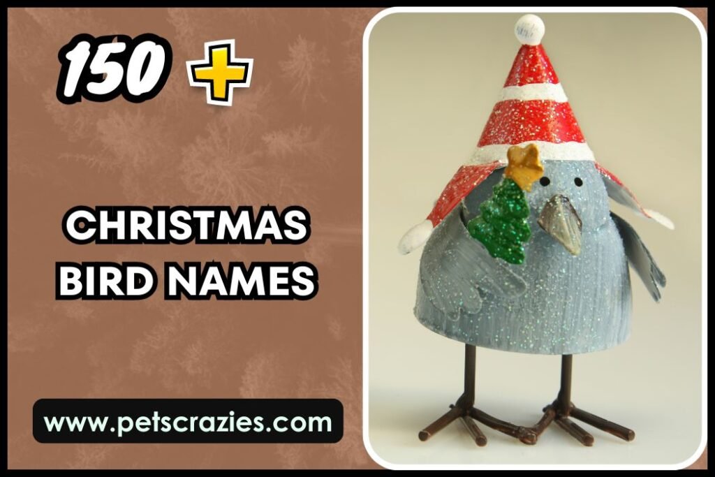 150+ Christmas Bird Names (Perfect for Pets)