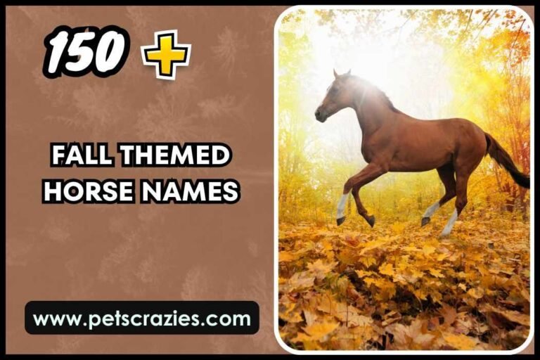 Fall Themed Horse Names (Seasonal Inspiration)