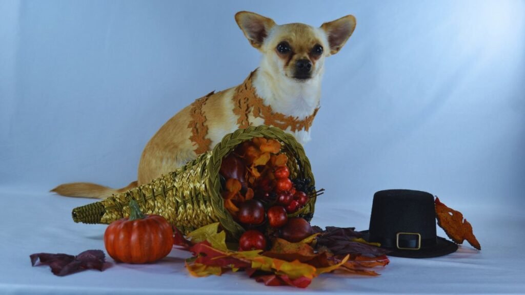 Thanksgiving Dog Names - Festive Fun