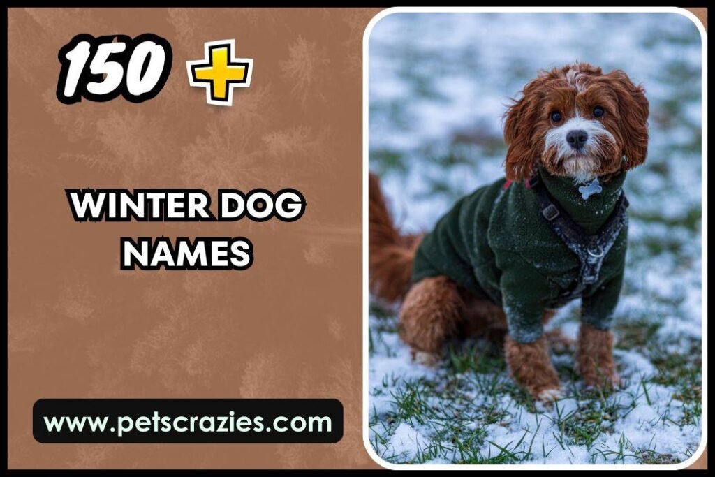 200+ Nature Dog Names - Inspired And Charming Ideas