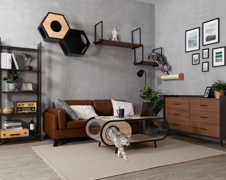 20 Cozy Cat Room Ideas to Pamper Your Feline Friend