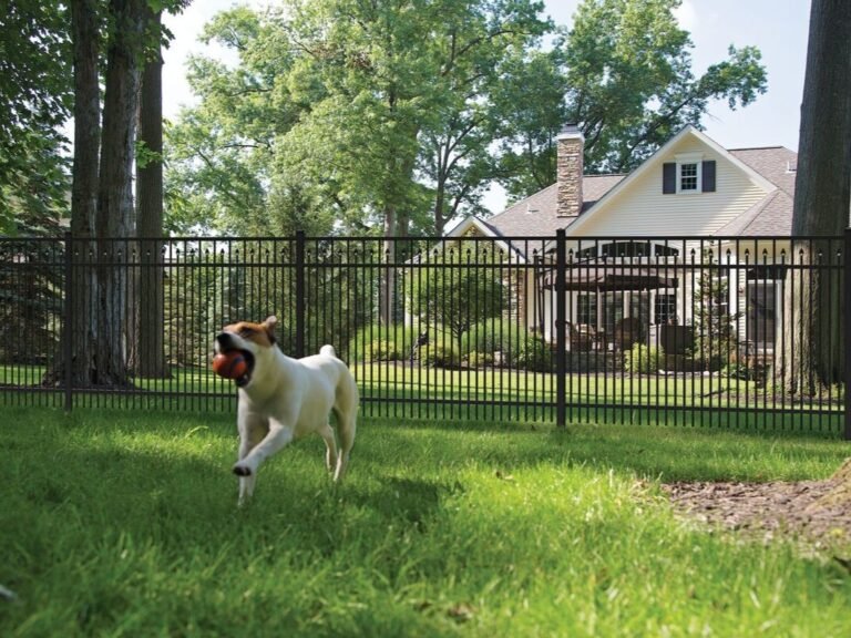 15 Effective Dog Fence Ideas to Keep Your Pup Safe and Happy