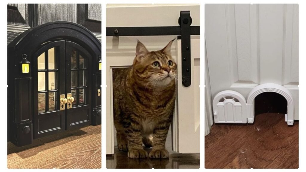 18 Stylish Cat Door Ideas to Enhance Your Home Decor
