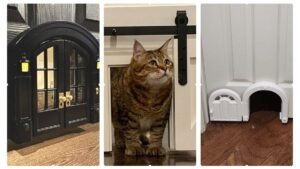 18 Stylish Cat Door Ideas to Enhance Your Home Decor