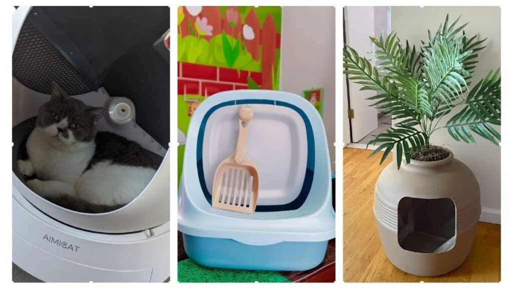20 Cat Liter Box Ideas or Small Spaces and Stylish Homes