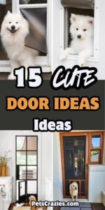 15 Cute Dog Door Ideas