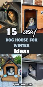 20 Dog House Ideas for Winter for a Warm Winter Retreat