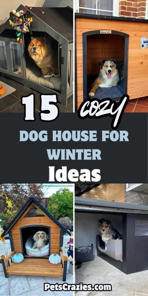 20 Dog House Ideas for Winter for a Warm Winter Retreat