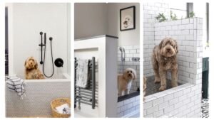 15 Smart Dog Washing Area Ideas