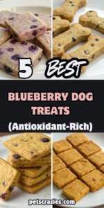 5 Blueberry Dog Treats (Antioxidant-Rich)