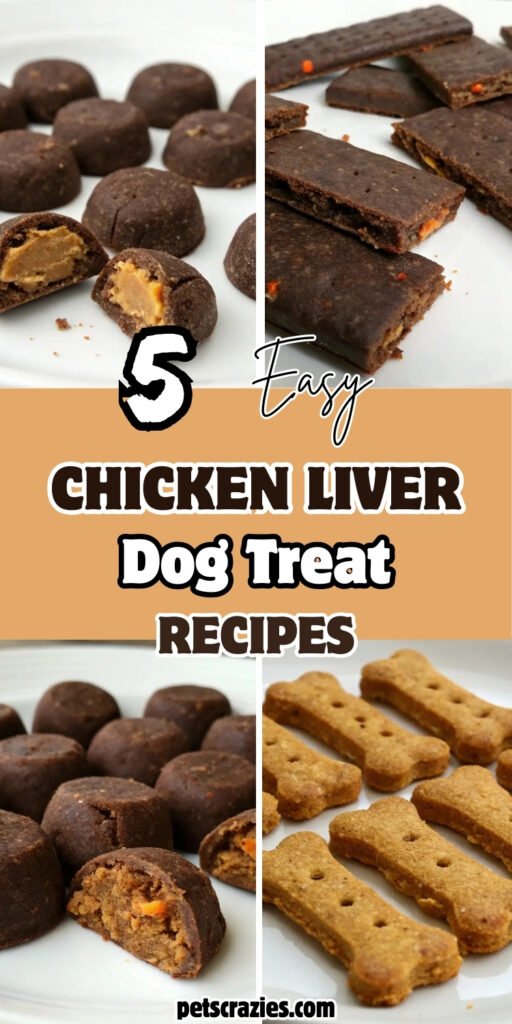 5 Chicken Liver Dog Treat Recipes