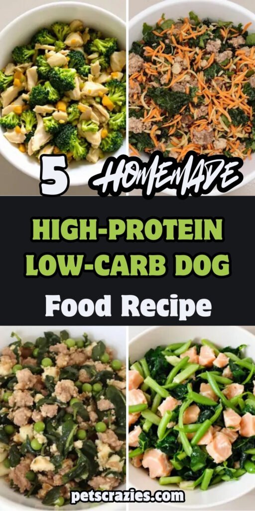 5 Homemade High-Protein Low-Carb Dog Food Recipes