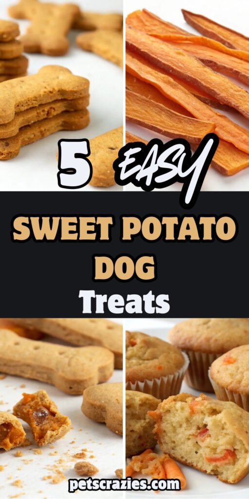 5 Sweet Potato Dog Treats